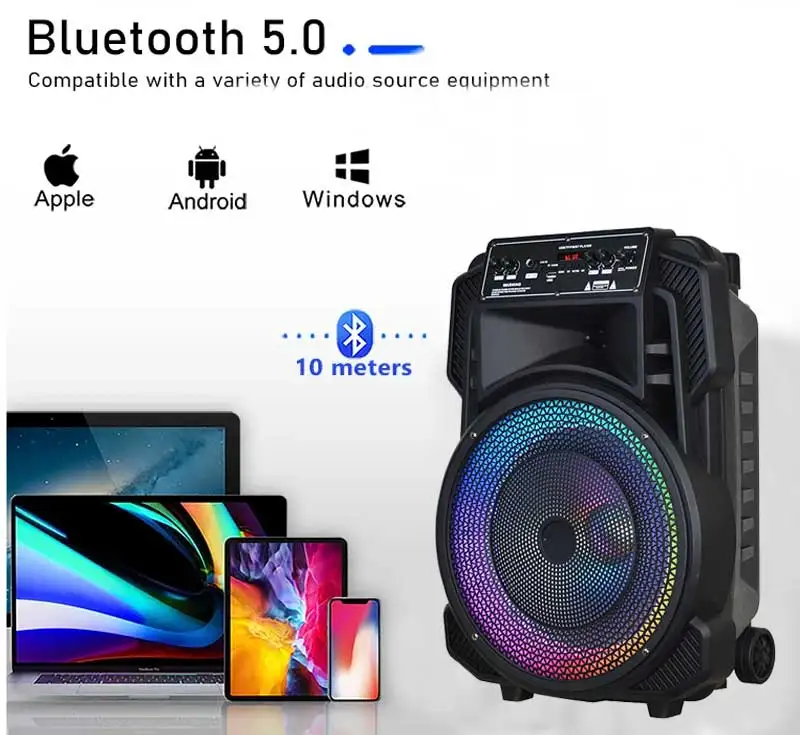 Single 15 Inch Subwoofer Active Stereo Private Portable Fm Radio ...