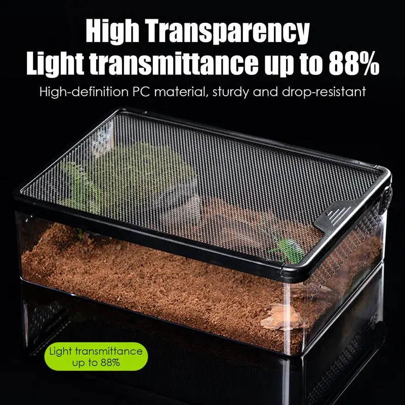 Reptile Feeding Box - Transparent, Ventilated, and Durable