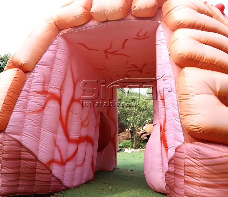 Inflatable Organ - Giant Inflatable Brain Model for Teaching