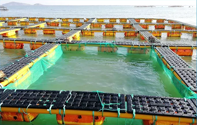 Aquaculture Fish Farming - Efficient Floating Net Cages