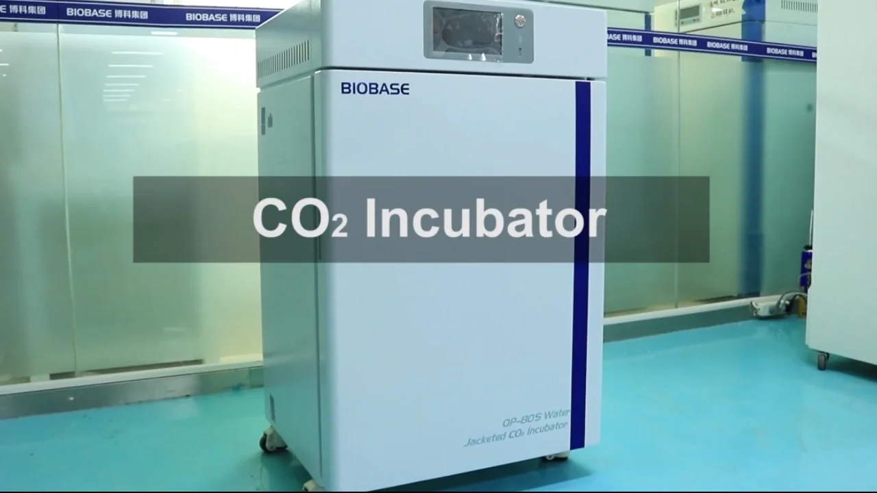 Biobase China Air Jacketed Co2 Laboratory Incubator Liter For Ivf In Lab And Hospital - Buy ...