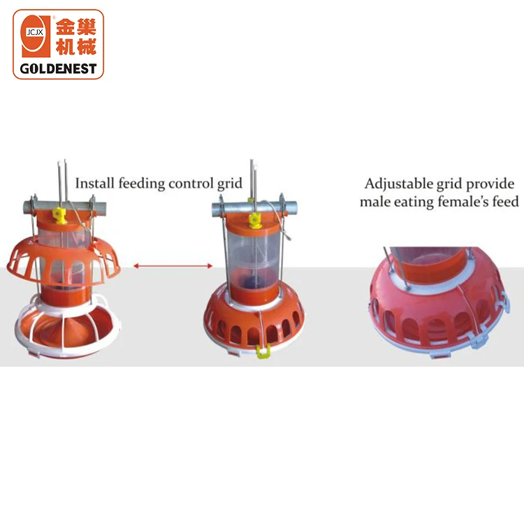 Factory Price Automatic Poultry Breeder Feeding Line Female Breeder ...
