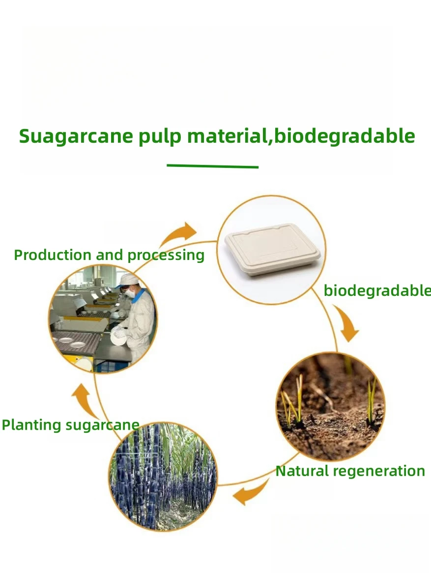 Biodegradable Compostable Fully Degradable Disposable 9 Inch Sugarcane ...