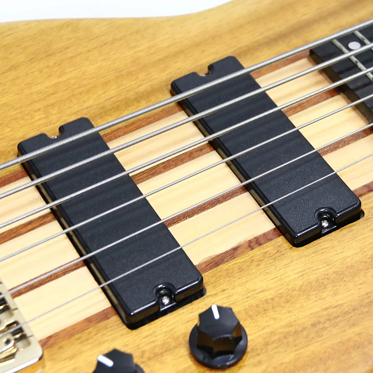 Conjoined Electric Bass H-H Matt Finish Bass Guitar (L-B45-T4)