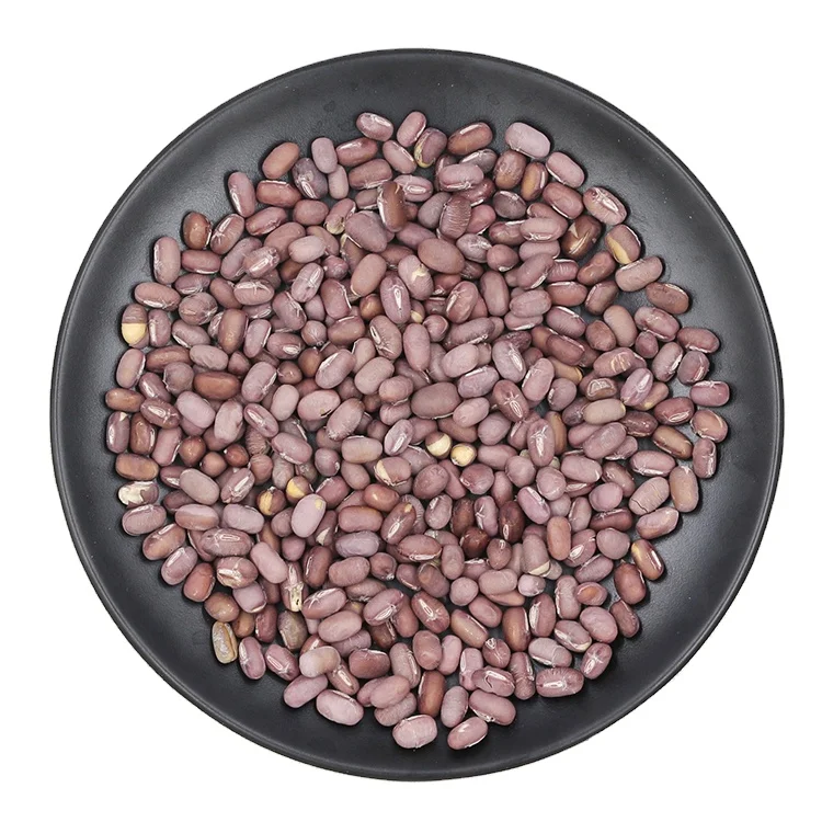 Vigna Angularis