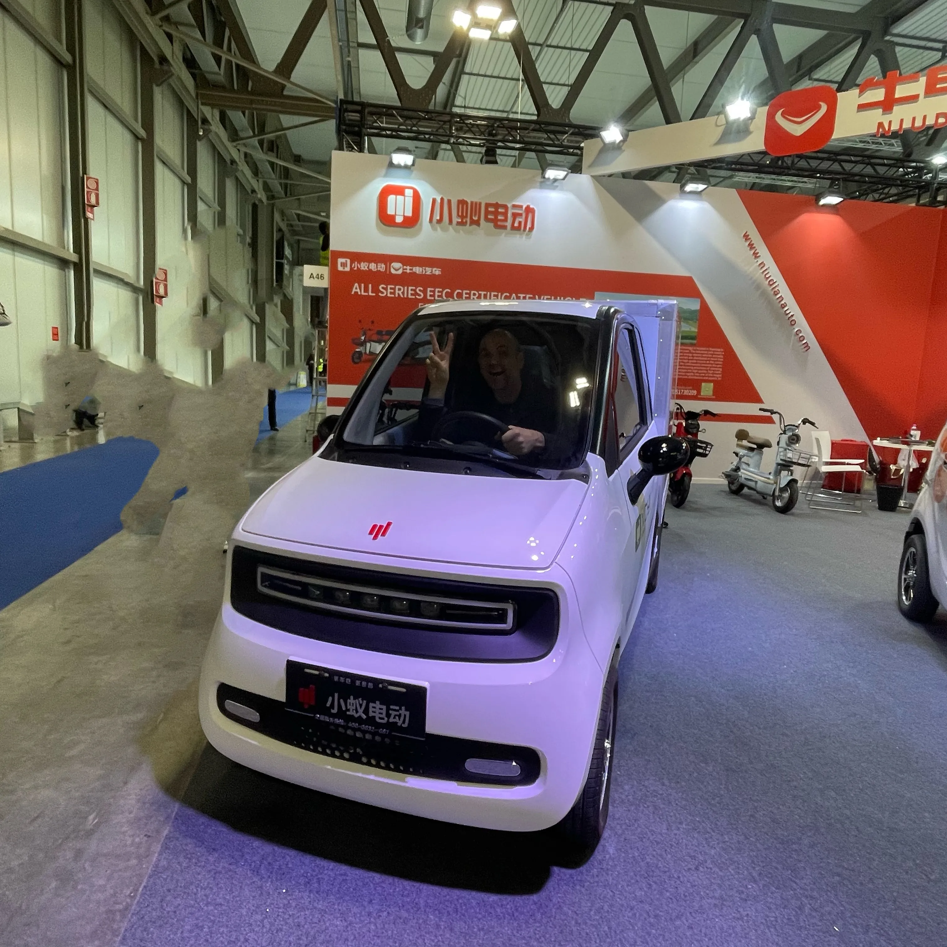 Electric Pickup with Cargo Box China Small Cars Low Speed