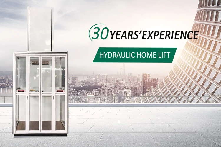 250kg Home Elevator - Disabled Elevator for 2 Person Lift