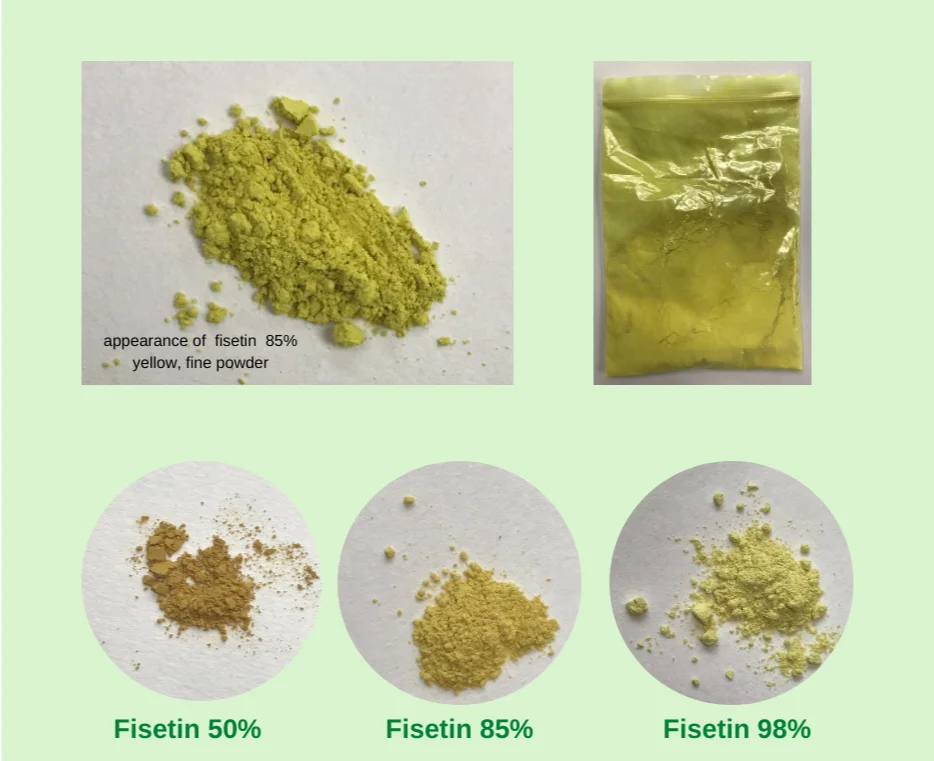 Natural Fisetin Supplement Powder 98% 85% 50% Pure Cotinus Coggygria ...