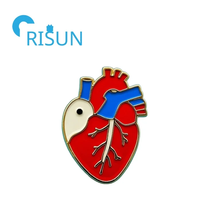 Anatomical Heart Enamel Pins Medical Anatomy Brooch Heart Neurology ...