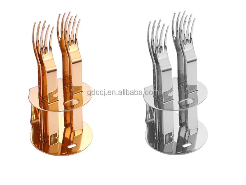 Stainless Steel Fruit Fork Set Storage Rack Fruit Fork Container Cake ...