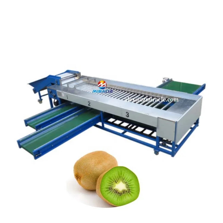 Vegetable Grading Machine Carrot Sorting Machine Onion Cucumber Grading ...