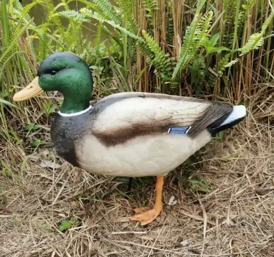Extremely Realistic Duck Decoys - Perfect for Waterfowl Hunting