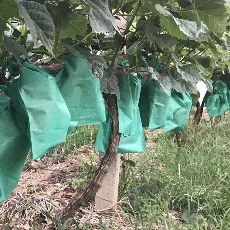 Prevent Frostbite Anti Uv Sugar Preserved Grape Agriculture Pp Spunbond ...