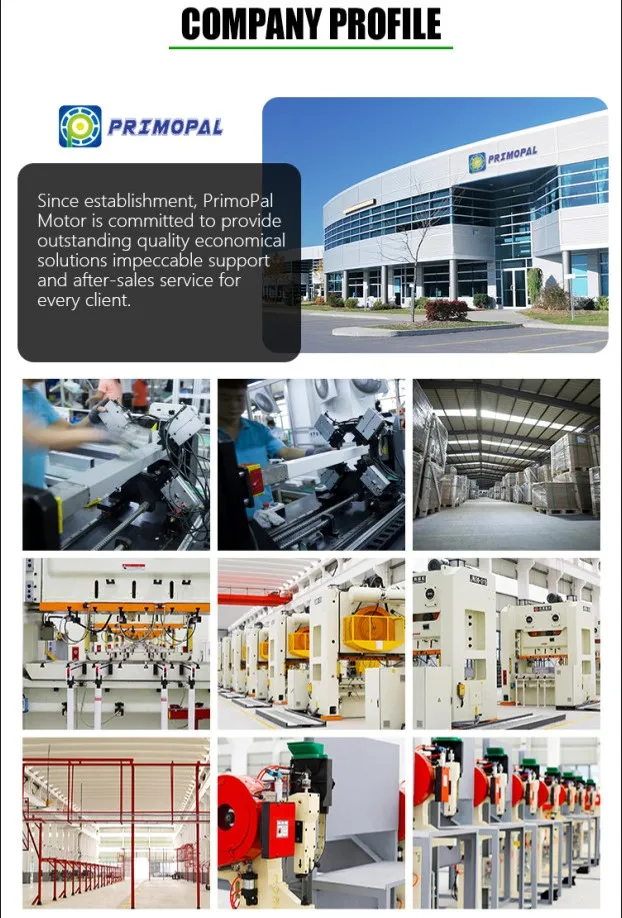 Primopal High Quality Richmat Tubular 500mm Stroke Marine Linear ...