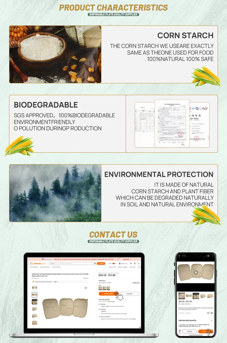 6 "8 "9" Biodegradable Cornstarch Burger Meal Box Takeaway Food Box ...