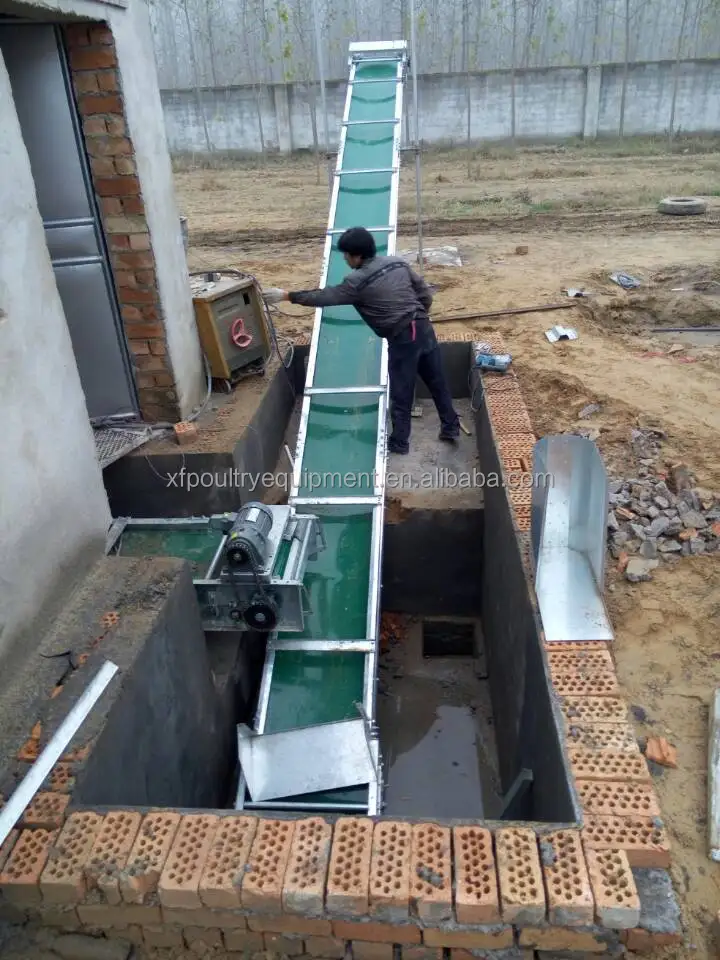 Efficient Chicken Manure Removal System for Farms