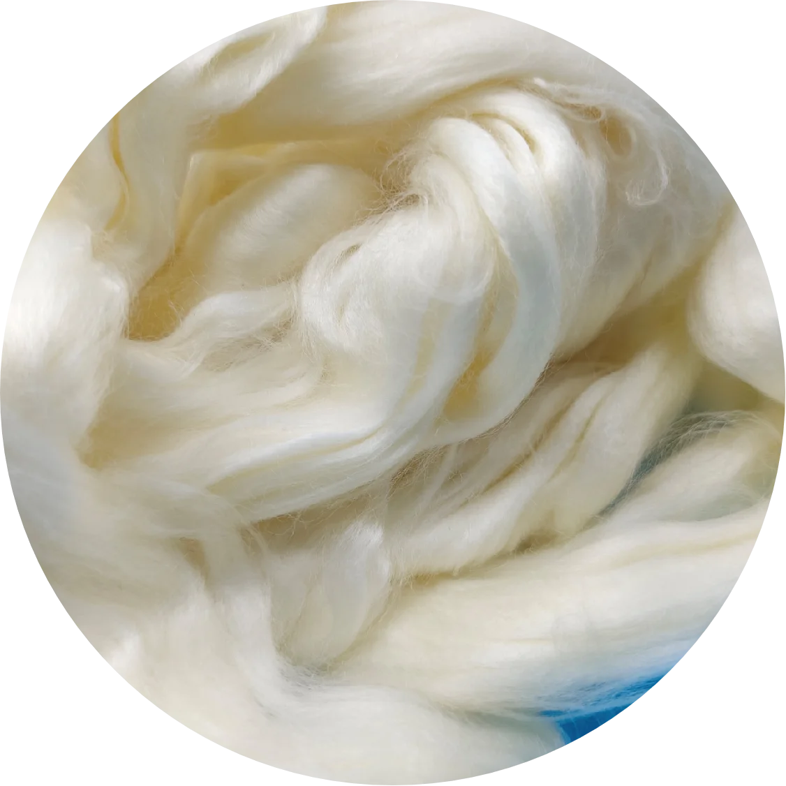 2d 88mm Mike Top Protein In Silkworm Chrysalis Top For Spinning - Buy ...