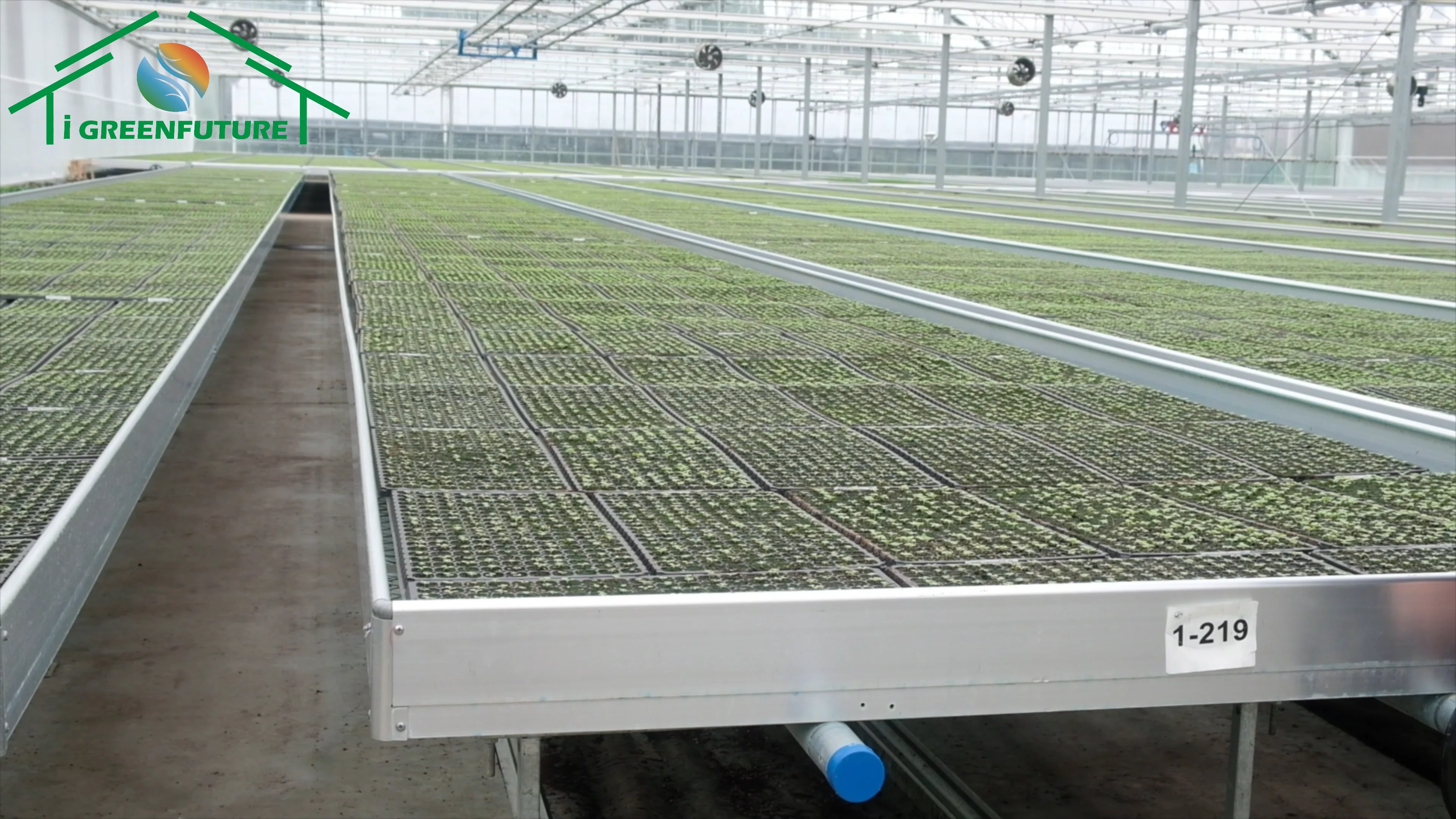 Greenhouse Nursery Bed Ebb And Flow Tray Hydroponics Movable Rolling Bench System Flood Table ...