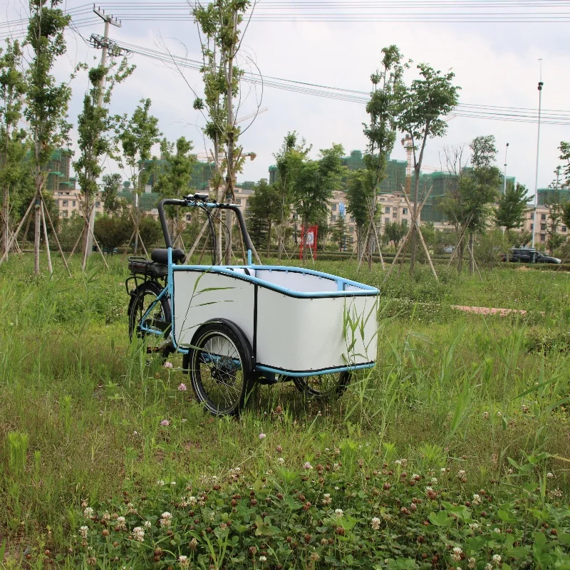 Dutch Electric Bakfiets - Efficient Cargo Bike Solutions