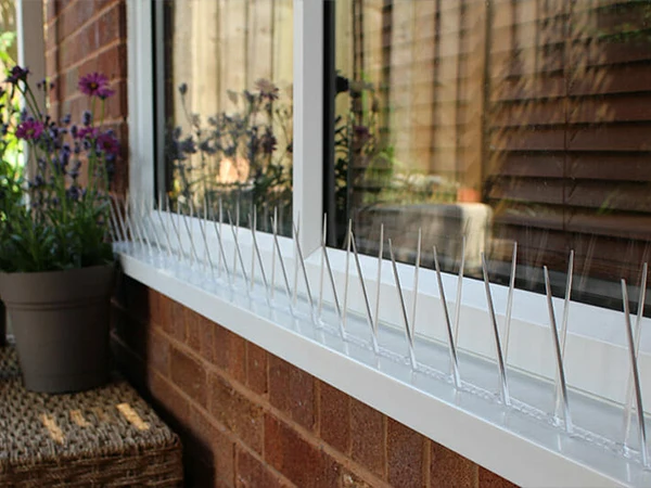 50cm Stainless Steel Anti Bird Spikes Birds Away Plastic Pest Control ...