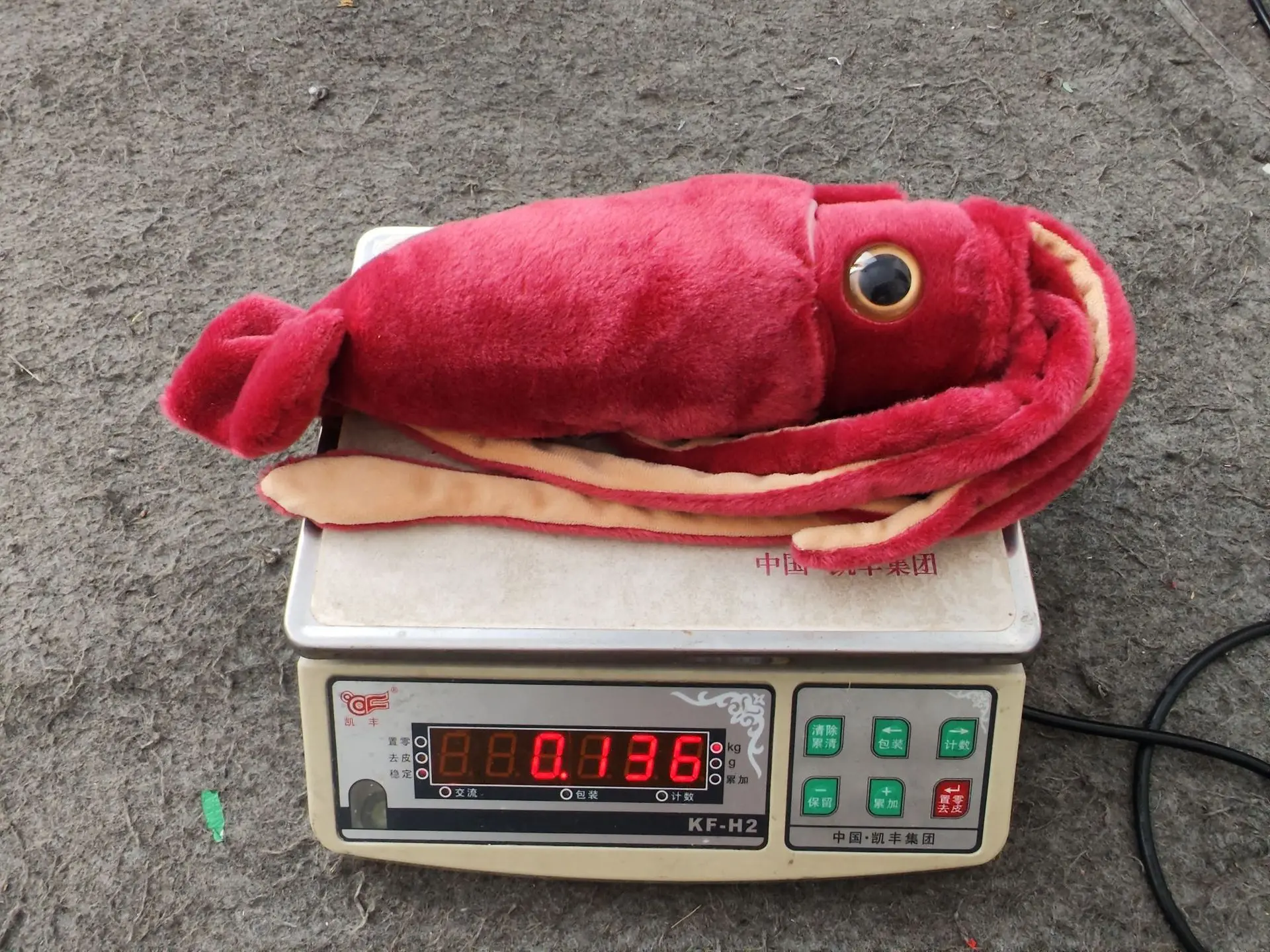 Lifelike Giant Squid Plush Toy - Stuffed Sea Creature - OEM Available