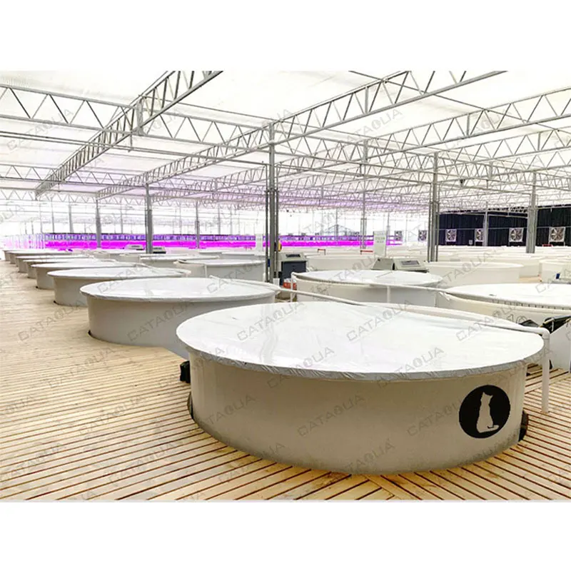 Cataqua Ras System Indoor Fish Farming Equipment Indoor Tilapia Fish ...