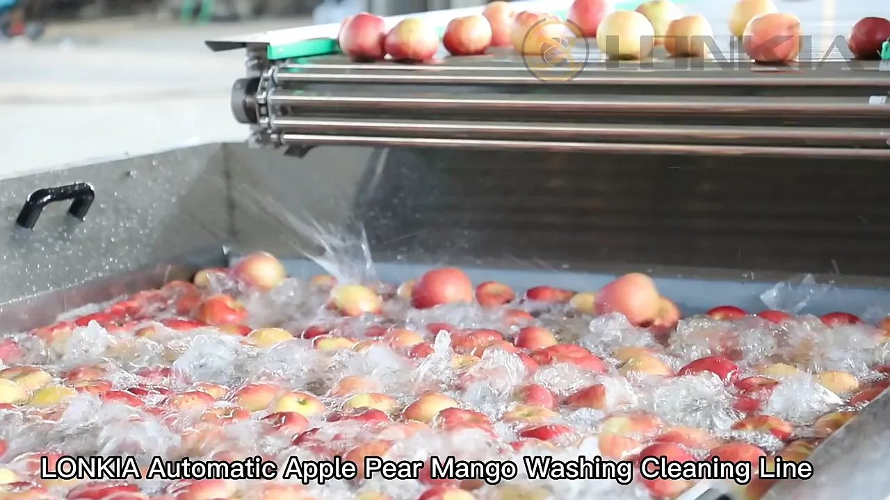 Fresh Fruit Mango Apple Cleaning Machine Waxing Sorting Air Bubble Tomato Vegetable Washing ...