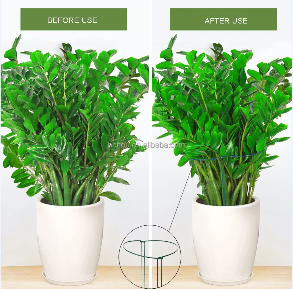 Garden Plant Support Grow Through Rings & Legs 12 Pack - Buy Plant ...