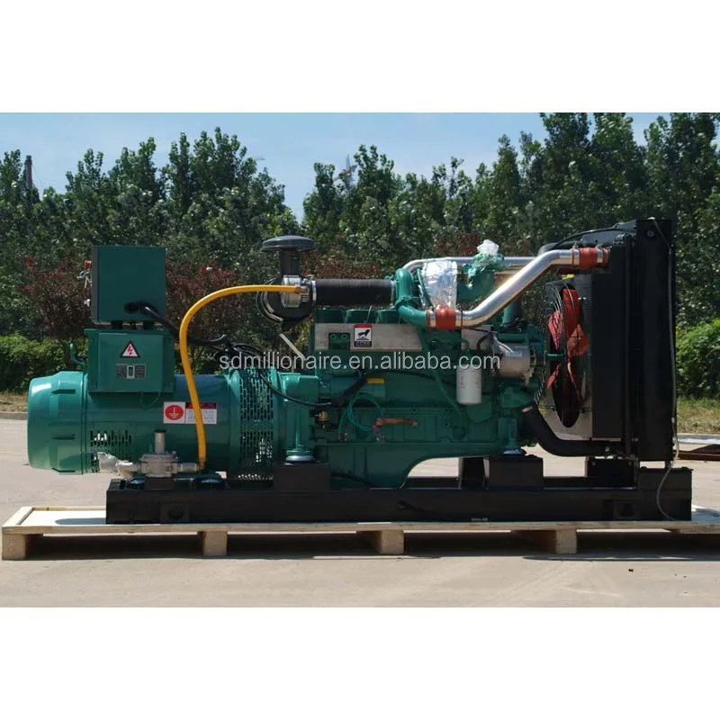 20kw/25kva Biogas Chp Generator Natural Gas Generator Gas Turbine ...