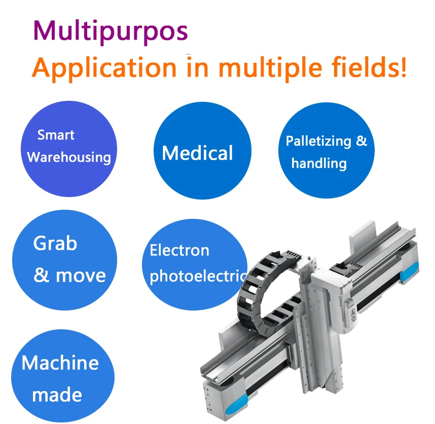 YZ Customizable Multi-Axis XYZ Gantry Robot Arm Motorized Table