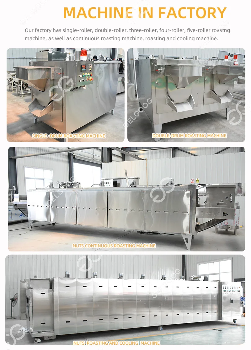 Automatic Cacao Roasting Machine - Efficient & Durable