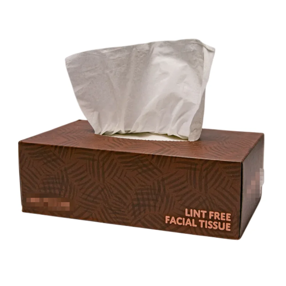 Customized 100% Bamboo Premium Box Facial Tissues 2 Ply 120 Sheets For ...