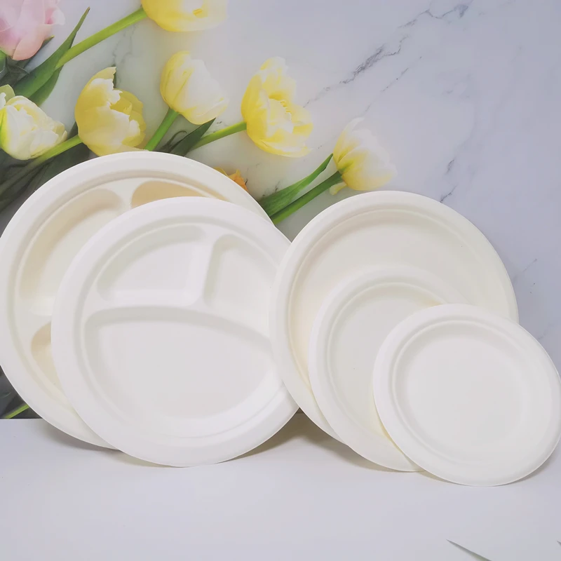 Sugarcane Bagasse Disposable Plates Sugar Cane Bamboo Paper Pulp ...