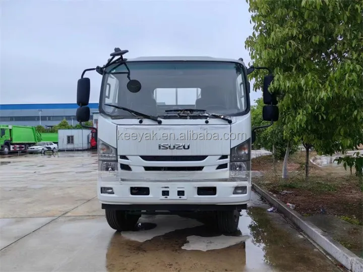 Isuzu Elf 4wheelers Single Cab Cargo Truck - 2ton Capacity