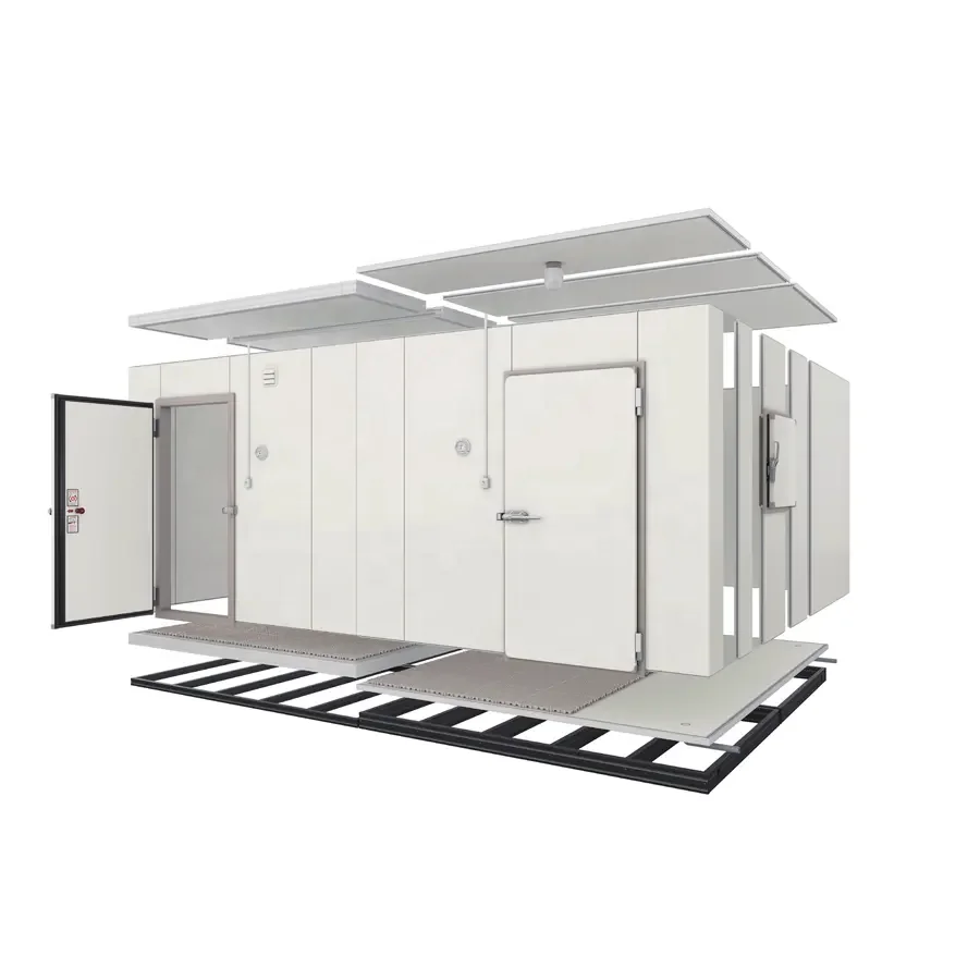 Cold Storage Freezer For Frozen Chicken Cold Room Air Blast Freezer ...