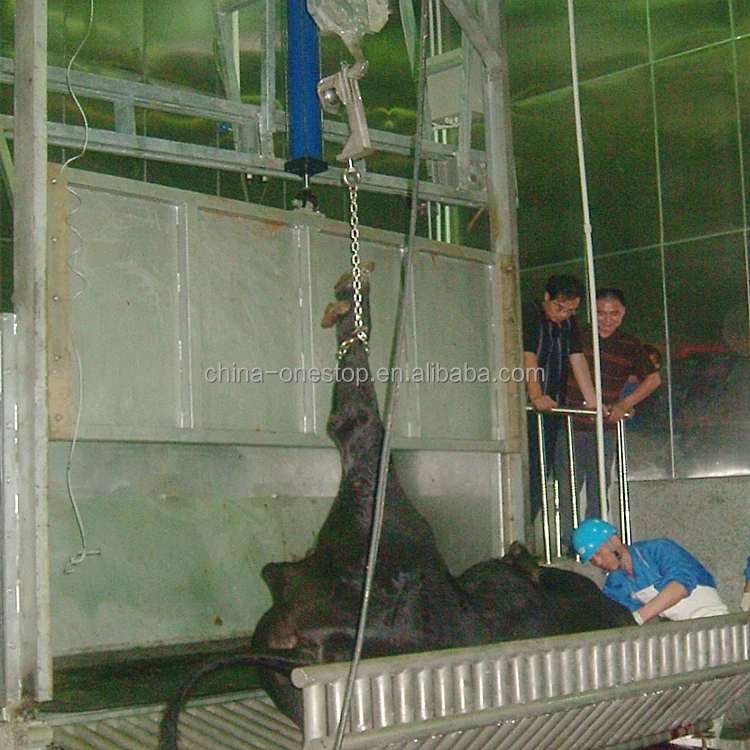 Bovine Slaughter Line - Pneumatic Kill Box for Abattoir