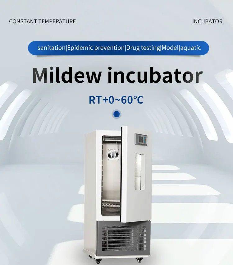 Mould Incubator Microbiology Laboratory Automatic Control Incubator For ...