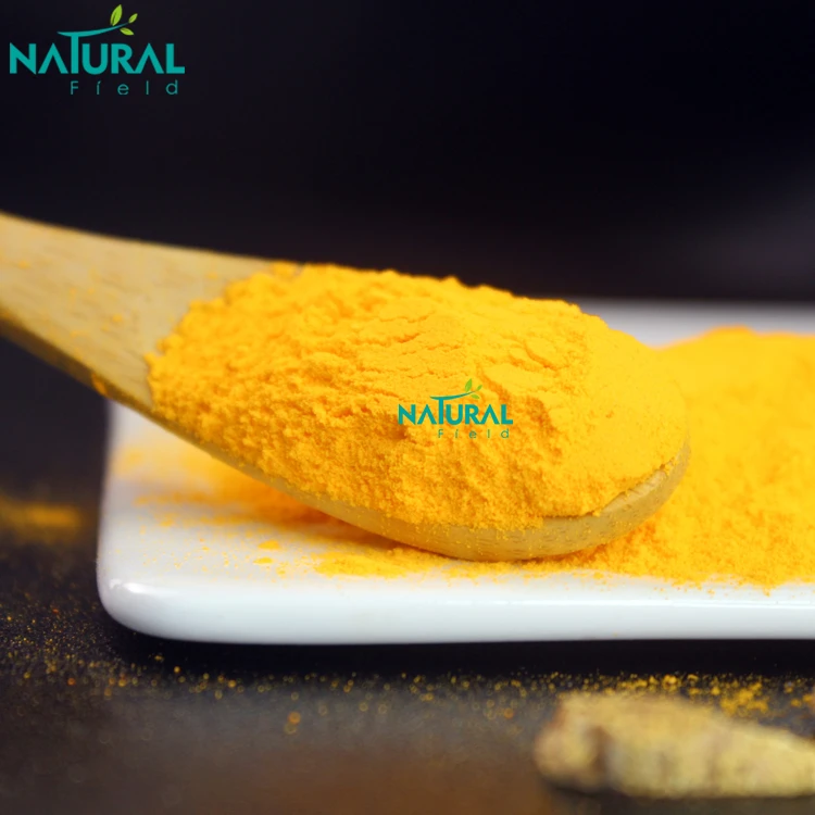 Bulk Natura Turmeric Root Extract Powder 95% Curcumin Extract Powders ...