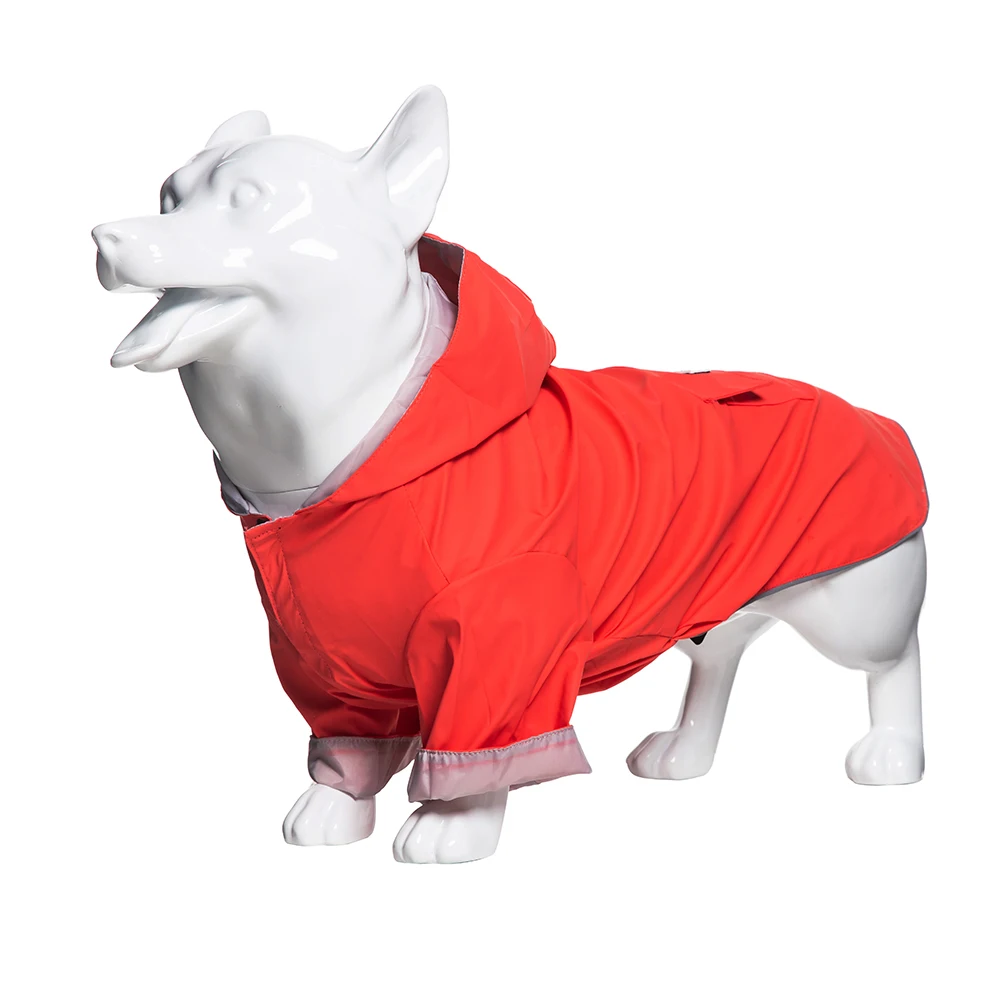 Lifelike Size Fiberglass Animal Mannequin Dog Model Pet Dog Model In ...
