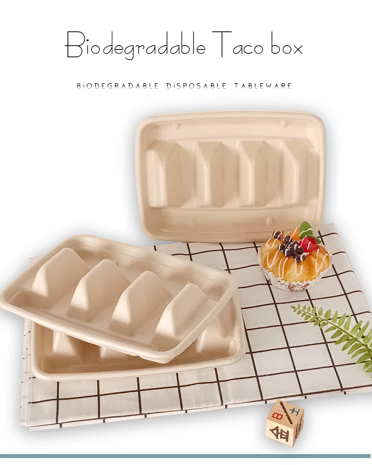 Biodegradable Taco Box - Sustainable & Durable Solution
