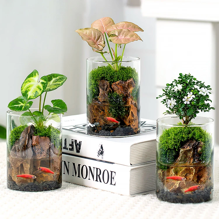 OEM Terrarium Hydroponic Plant Cylinder Vase Moss Terrarium Home Decor ...