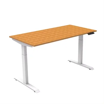 Workstation Dual Motor Motorized Table Ergonomic Work Up Elevating ...