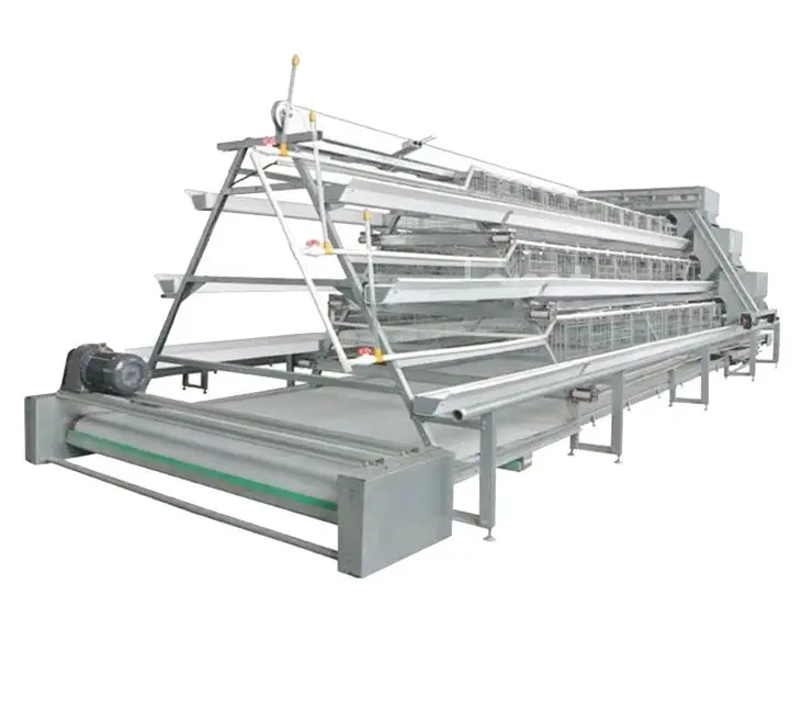 Durable Poultry Farm Equipment for Chicken Farming - OEM | Wholesale