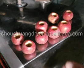 Shouchuang Automatic Fruit Core Remover - Efficient Pitting