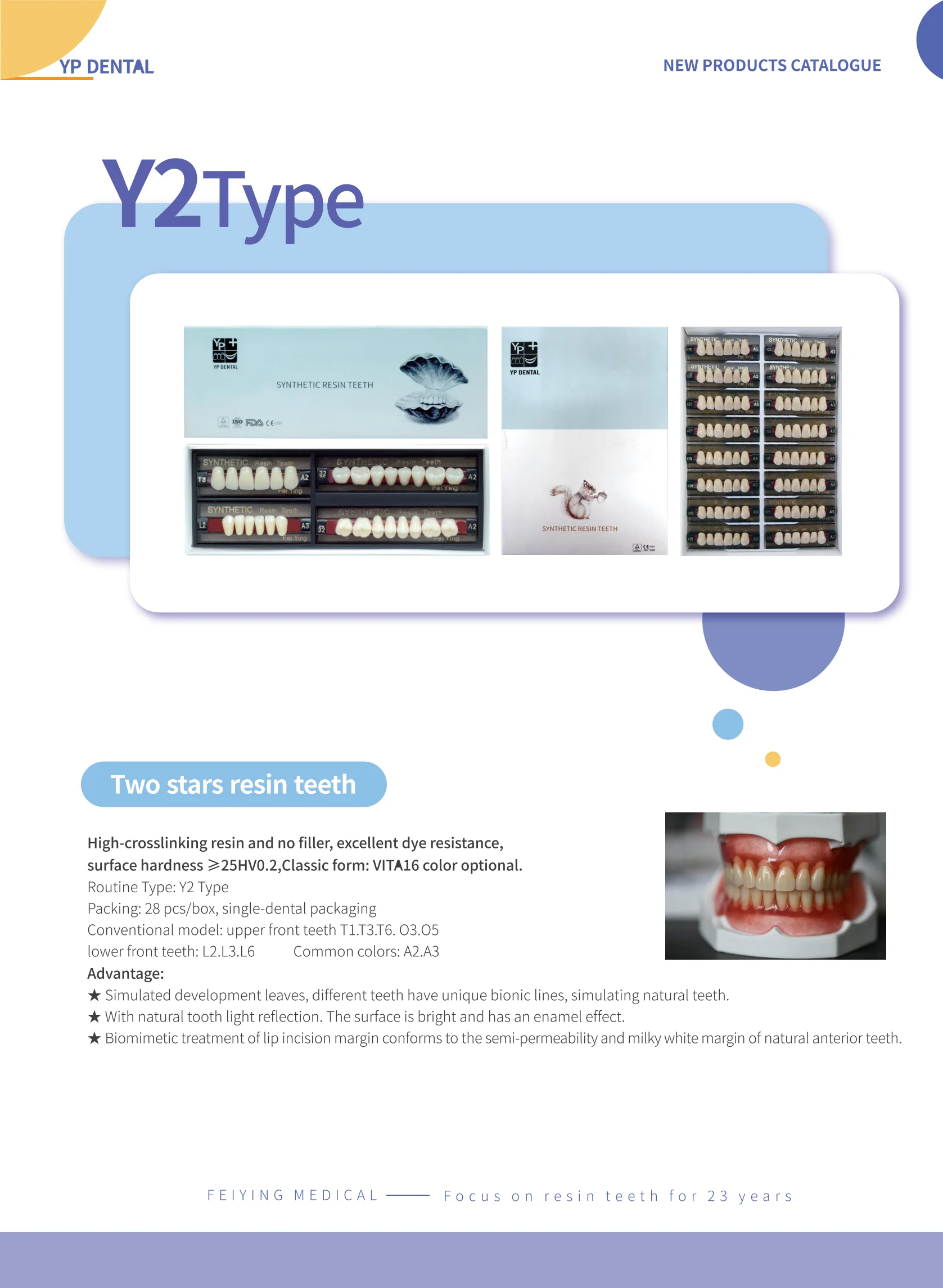 Denture 3 Layer Composite Resin Teeth - YP DENTAL Quality