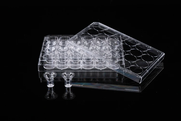 Polystyrene Membrane Cell Culture Inserts - Transwell 24-Well Plate