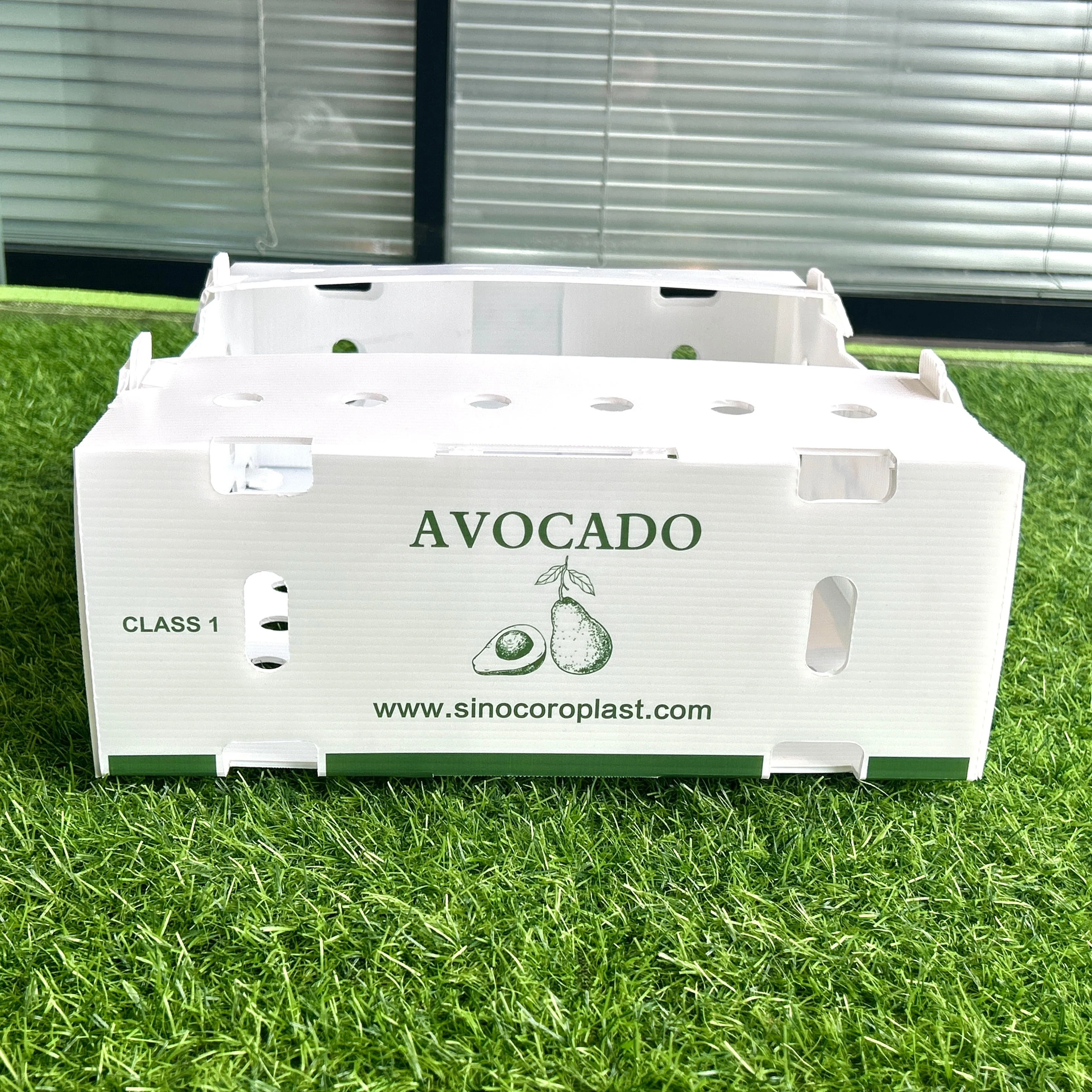 Asparagus Packaging Box Foldable PP Corrugated Plastic Food Vegetable ...