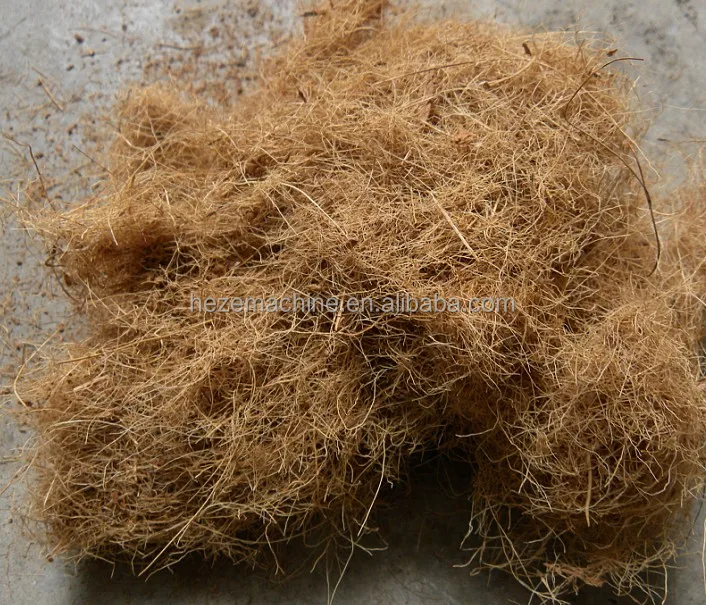 Coconut Shell Crusher Machine - Efficient Fiber Extraction