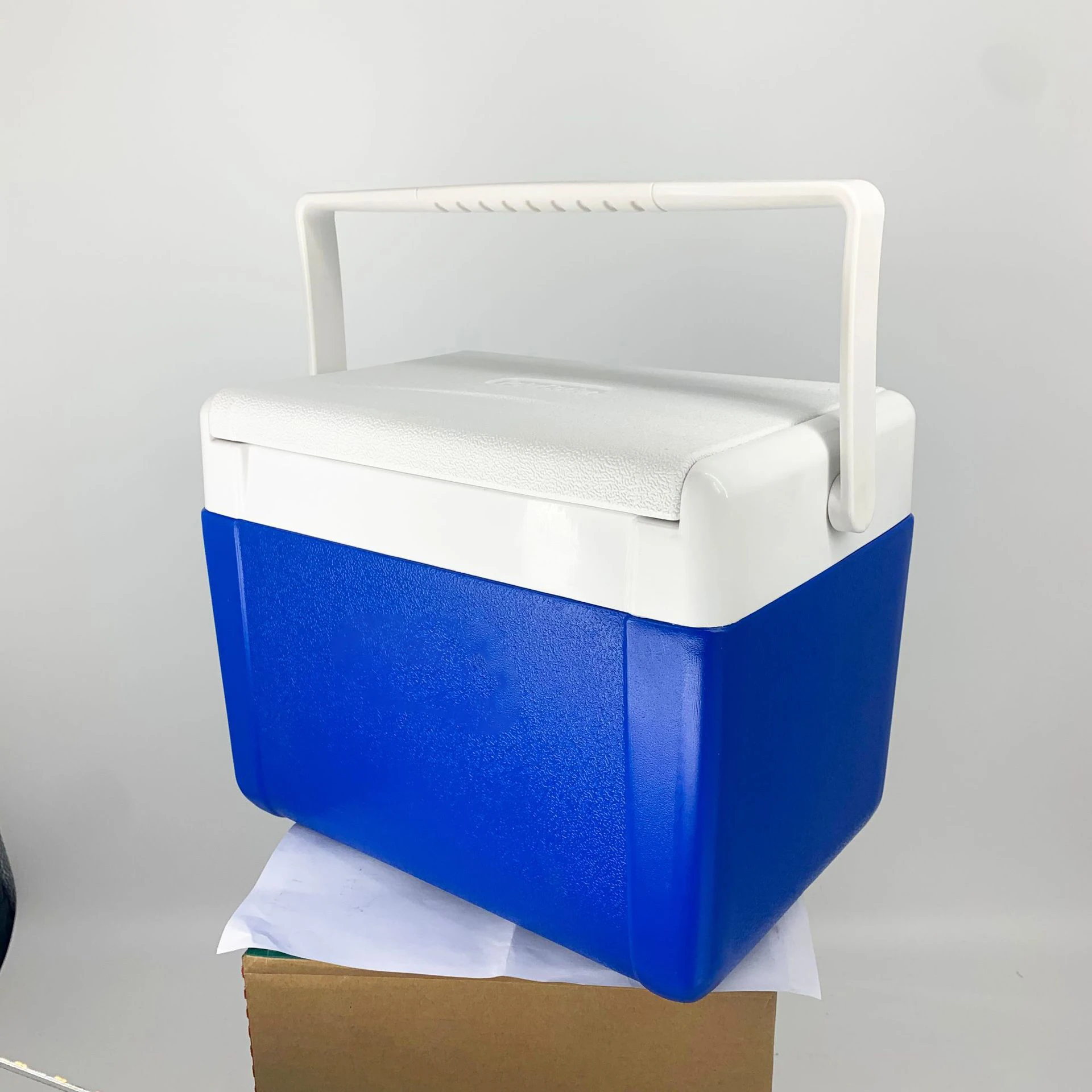 Custom Size Plastic Outdoor Portable Small Cooler Box Picnic ...
