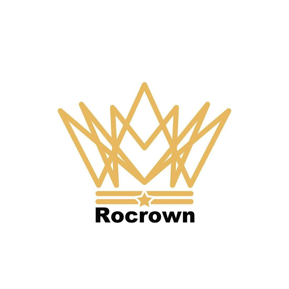 Company Overview - Qingyuan Rocrown Building Materials Co., Ltd.